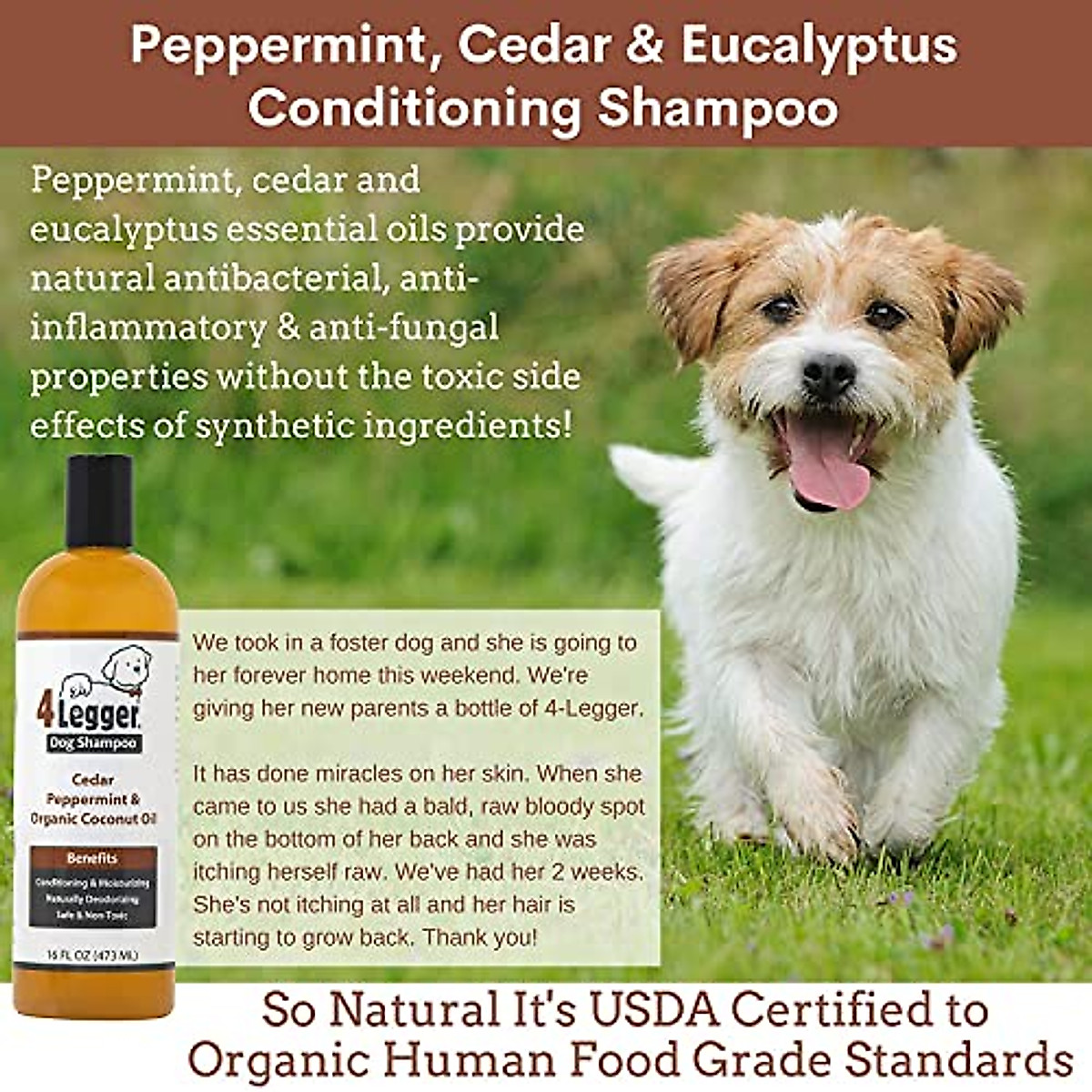 4Legger Organic Dog Shampoo and Conditioner USDA Certified - All Natural Concentrated Cedar Dog Shampoo with Peppermint, and Eucalyptus - Dog Shampoo for Itchy Skin - Dog Shampoo for Smelly Dogs 16 oz