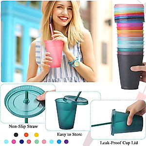 Potchen 60 Pack Plastic Cups with Straws and Lids Reusable Kids Tumbler with Straw Water Bottle Iced Coffee Travel Mug Cup Adults Plastic Cups 16 oz for Parties