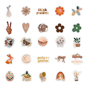 CAKOLINK Vintage Aesthetic Stickers 50 Pcs, Vinyl Waterproof Stickers for Water Bottles Laptop Phone Computer Guitar (1)