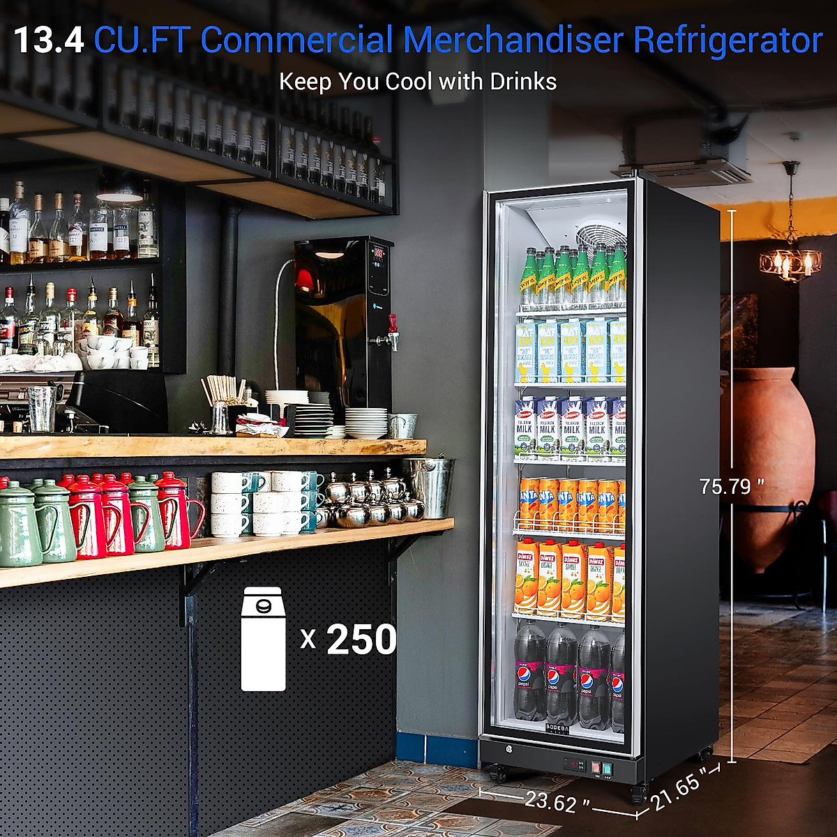 BODEGACOOLER Commercial Merchandiser Refrigerator,12.5 Cu.Ft Glass Door Display Refrigerator,Upright Commercial Beverage Display Cooler with Soft LED Light,Adjustable Shelves,Black