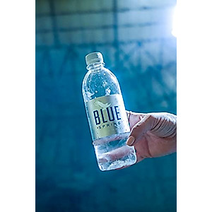 Blue Spring Living Water, Pure Premium Natural Spring Water, pH balance of 7.1-7.2, Bottled Spring Water, 16.9 Fl Oz, (Pack of 12)