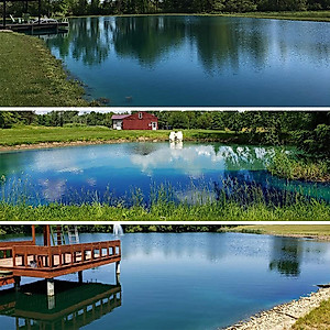 Pond Champs Blue Pond Dye and Pond Cleaner- 1 Gallon of Each