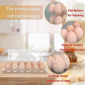 KUKLIPJIM 120 Pack Bulk Egg Cartons, Clear Plastic Chicken Egg Holders, Egg Tray Carton Holder for Home & Kitchen, Farm & Market Use, An Eco-Friendly Egg Storage Solution, 12 Grids