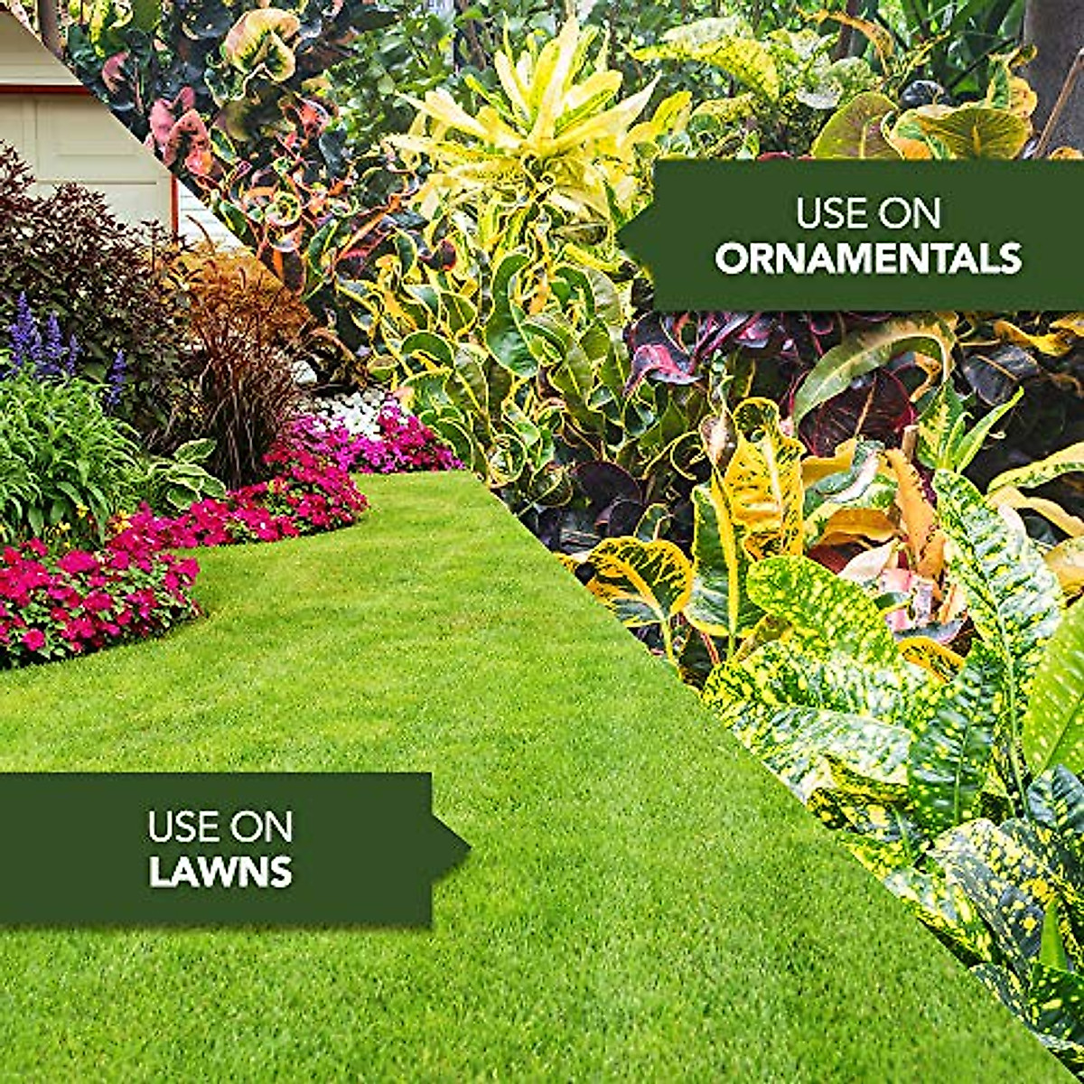 BioAdvanced Bermudagrass Control for Lawns, Ready-to-Spray, 32 oz