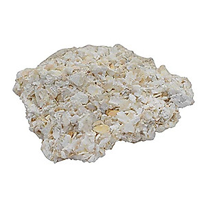 12PK Raw Coquina, Sedimentary Rock Specimens - Approx. 1" - Geologist Selected & Hand Processed - Great for Science Classrooms - Class Pack - Eisco Labs