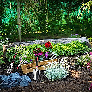 Garden Tool Set, 3PCS Heavy Duty Aluminum Gardening Tools with Soft Non-Slip Ergonomic Handle, Including Hand Trowel, Transplant Trowel and Cultivator Hand Rake Perfect for Planting, Digging, Weeding