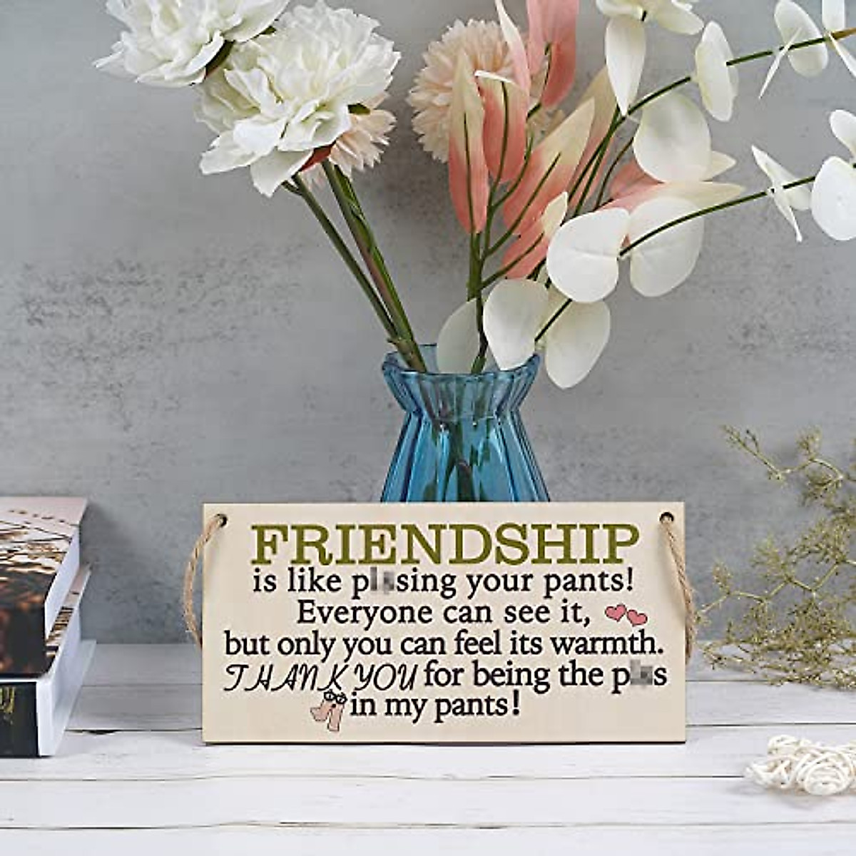Funny Best Friend Birthday Gifts for Women Friendship Gifts for Women Friends Unique Personalized Plaques Gift for Girl Women Female Friends Wall Art Decor Wooden Sign Bff Gifts for Women Under 10 Dollars