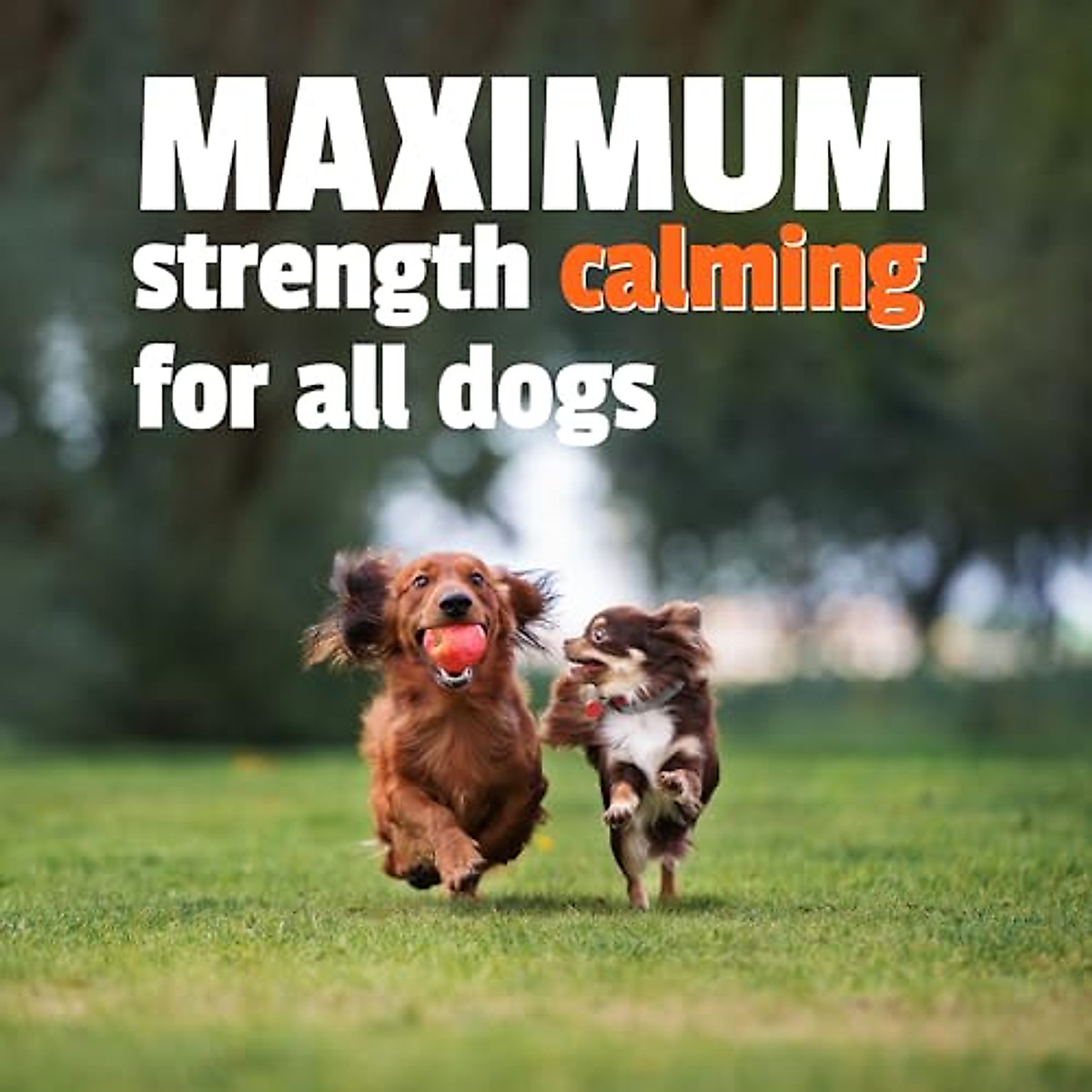 Pet Naturals BusyButter Extra Strength Calming Peanut Butter with Melatonin for Dogs - Great for Treats, Lick Mats, Training, Calming, and Enrichment Toys