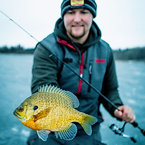 Northland Fishing Tackle Impulse Rigged Tungsten Mini Smelt Jig for Ice Fishing Panfish, Fruit Fly, 1/16 Oz #10 Hook, 5/Card