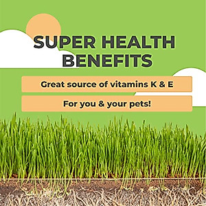 Organic Wheatgrass Growing Kit with Style x 3 – Plant an Amazing Wheat Grass Home Garden, Juice Healthy Shots, Great for Pets, Cats, Dogs. Complete with Stunning Tray and Accessories. (3-Pack)