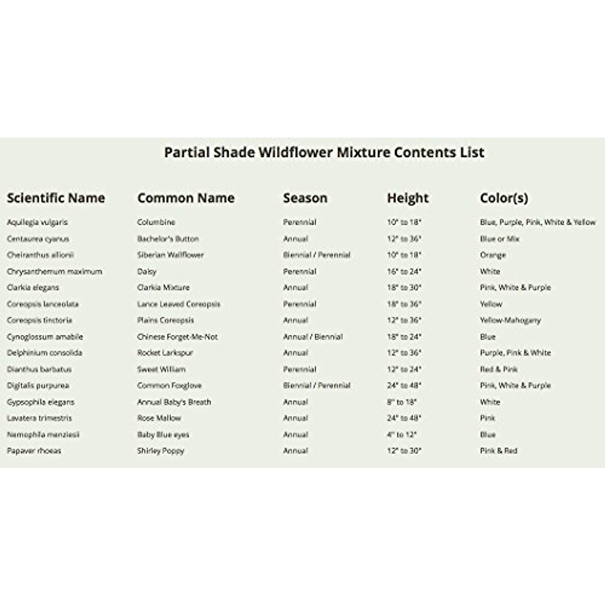 Seed Needs, 2.1 oz Bulk Package - 30,000 Seeds Partial Shade Butterfly Attracting Wildflower Mixture (99% Pure Live Seed - NO Filler) Annual Perennial Biennial