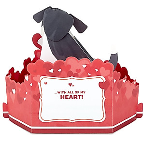 Hallmark Paper Wonder Pop Up Valentines Day Card with Sound and Motion (Dog)