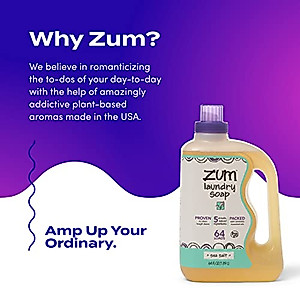 Zum Clean Laundry Soap - Sea Salt - 64 fl oz (Pack of 1)