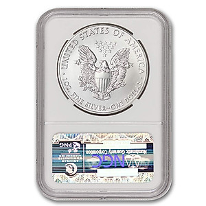2013 1 oz American Silver Eagle Coin MS-69 (Early Releases) $1 NGC MS69