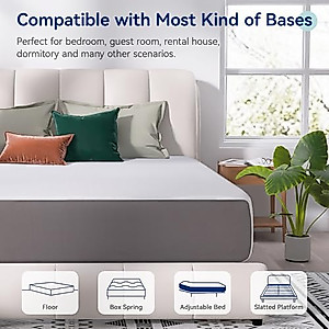 Amazon Basics Memory Foam Mattress, Medium Firm, 12 Inch, Queen, White/Grey