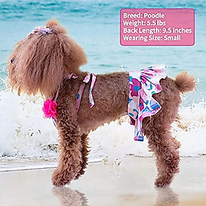 KYEESE Dogs Bikini for Small Dogs Floral Dog Beach Swimsuit Dog Tutu Dresses Dogs Clothes for Summer, Floral, L