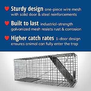 Havahart 1079SR Large 1-Door Humane Catch and Release Live Animal Trap for Raccoons, Cats, Bobcats, Beavers, Small Dogs, Groundhogs, Opossums, Foxes, Armadillos, and Similar-Sized Animals