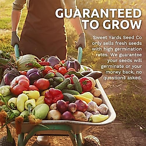 Hot Weather Lettuce and Greens Vegetable Seeds Organic Variety Pack - Non-GMO USDA Certified Organic Open Pollinated Heirloom USA Seed Packets