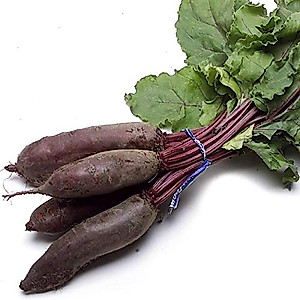 Cylindra Beet Seeds for Planting, 100+ Heirloom Seeds Per Packet, (Isla's Garden Seeds), Non GMO Seeds, Botanical Name: Beta vulgaris 'Cylindra', Great Home Garden Gift