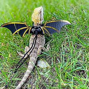 ADOGGYGO Bearded Dragon Lizard Leash Harness - Adjustable Cool Leather Wing Lizard Reptile Harness Leash for Bearded Dragon Lizard Reptiles (Black)