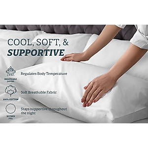 Digital Decor Set of Two 100% Cotton Hotel Down-Alternative Made in USA Pillows - Three Comfort Levels! (Silver, Standard)