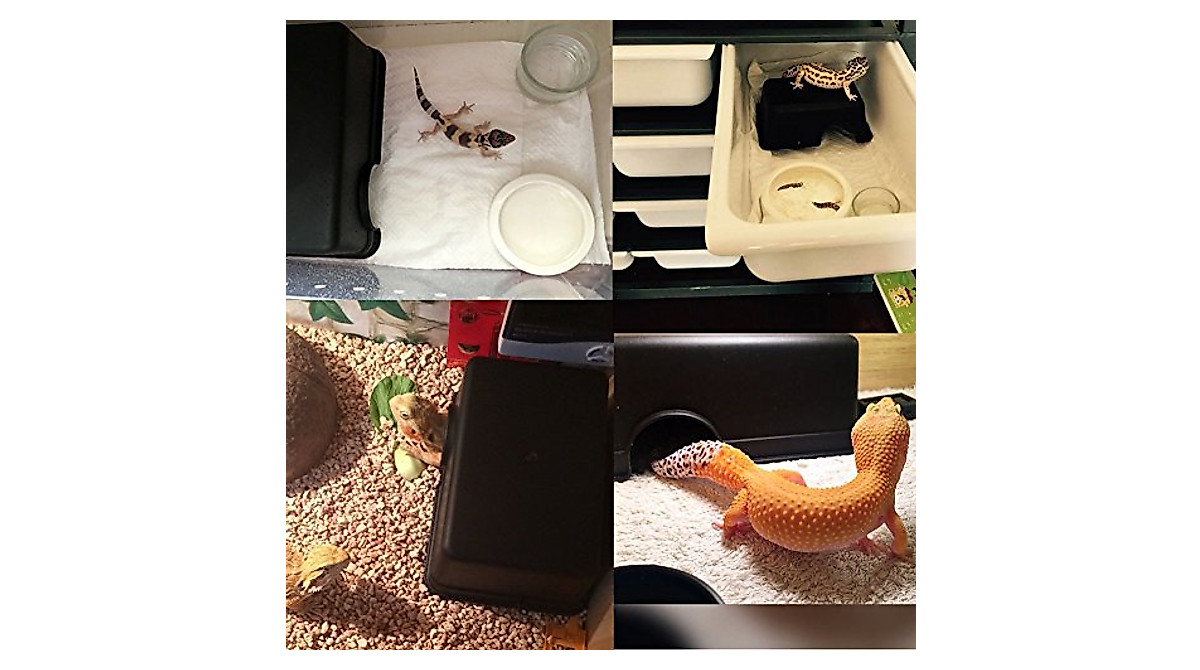 Reptile Hide Box Small Animal Hideaway for Snakes & Lizards