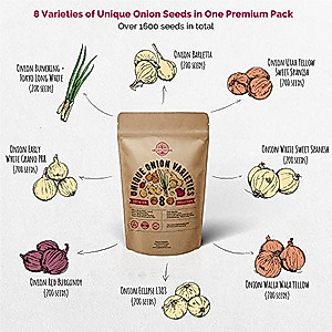 10 Carrot & 8 Onion Seeds Variety Packs Bundle Non-GMO Heirloom Seeds for Planting Indoor and Outdoor Over 5200 Carrot & Onion Seeds in One Value Bundle