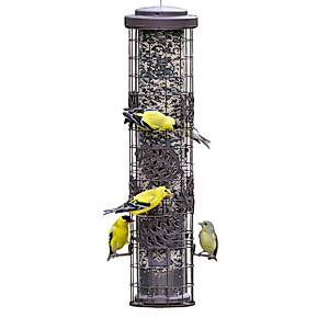 Perky-Pet SBG101 Squirrel Off Max Pinecone Bird Feeder with Flexports – 1.75 lb Capacity