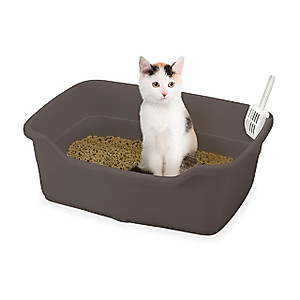 Richelle PAW TRAX Wide Cat Litter Pan in Brown, Rectangular Cat Litter Pan with Scoop | Plastic and Durable - Ideal for Big Cats and Multi-Cat Households