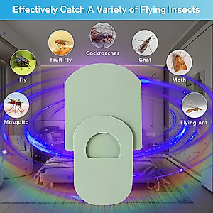 Flying Insect Trap, Fruit Fly Traps for Indoors, Plug in Gnat Traps for House Indoor Safe Non-Toxic UV Light Attractant Insect Traps Indoor with 10 Sticky Pad for Flies, Gnats, Moths, Mosquitoes