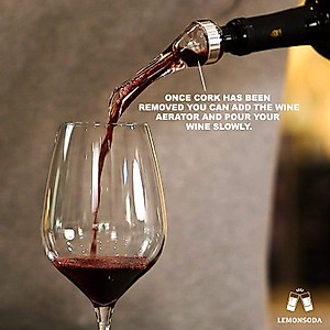 LEMONSODA Wine Bottle Opener Kit - Wine Lever Corkscrew Opener, Wine Pourer, Wine Foil Cutter, Vacuum Wine Stopper, Extra Spiral - Elegant Metal Wine Openers - Modern Gift Set for Wine Lover