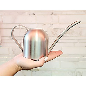 Itza 15 oz. Small Stainless Steel Metal Watering Can for Indoor, Outdoor Houseplants, Mini Watering Tool for Your Bonsai, Succulent & Orchid Plant Garden