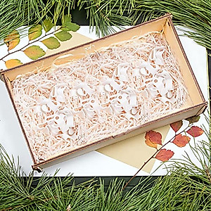 WXOIEOD 60 Pieces Space Saving Clothes Hanger Connector Hooks for Standard Hangers, Cascading Plastic Huggable Hangers Outfit Organizer Heavy Duty Extender Connection Closet Hook for Coat Shirt Pants