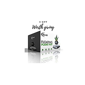 BandD Floating Plant Pot - Levitating Plant Pot for Succulents, air Bonsai & air Plants. Floating Planter for Home, Office & Desk Levitating Decor. Magnetic Floating Levitating Display. (Black)
