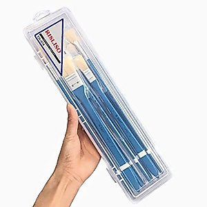 RISLISO, Paint Brush Holder for Long Paintbrushes, Fine Art Portable Paint Brush Organizer Case,Clear 2Pcs, TB 018