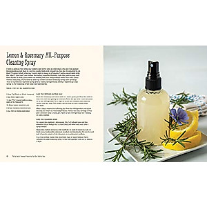 The Big Book of Homemade Products for Your Skin, Health and Home: Easy, All-Natural DIY Projects Using Herbs, Flowers and Other Plants