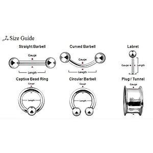 ALONG-J 2 Pcs Surgical Steel Earrings Gauges Tunnel Earplug Kit Dangle Ear Earplugs Stretching Kit Piercing Ear Plug 4Mm - 30Mm,C2,5mm