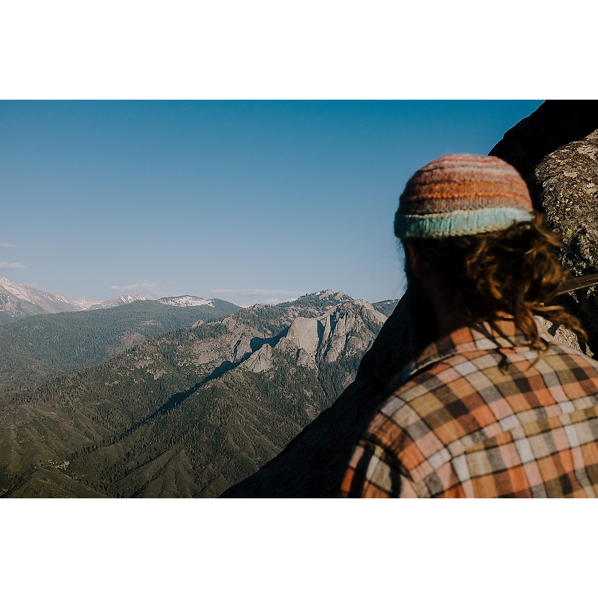 Conifers of The Sierra Nevada | Collection of 5 Live Tree Seedlings | The Jonsteen Company