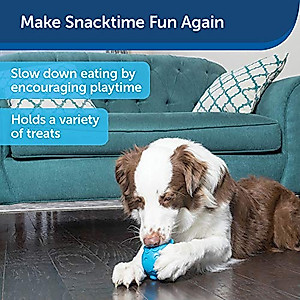 PetSafe Busy Buddy Hippster Dog Chew Toy - Treat Dispenser - Small Medium/Large