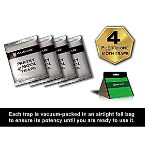 MaxGuard Pantry Moth Traps (4 Traps Trial Pack) Extra Strength Pheromones | Non-Toxic Sticky Glue Trap for Food and Cupboard Moths in Your Kitchen | Trap and Kill Seed Grain Flour Meal Moths |