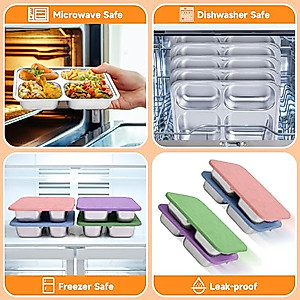 LEGELITE Stainless Steel Bento Box Container with 2 Sauce Cups, 4 Compartments Premium Bento Box, Metal Lunch Box Set for Kids or Adults (Sage)