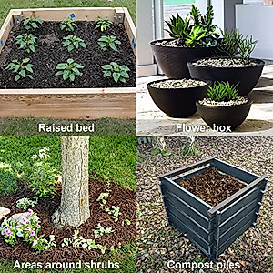 nutroeno 3 in 1 Lawn Aerator – 37 Inches Manual Plug Coring for Compacted Soils, Spike Aeration with 4.7 Iron Tines Small Yards, Twist Tiller Claw Cultivator Flower Box and Raised Bed., Green & Black