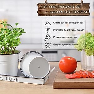 DAYYET Farmhouse Herb Garden Planter Indoor Window Planter Set with Tray, White Windowsill Herb Planter Pots with Drainage for Outdoor or Indoor Planters, Set of 3