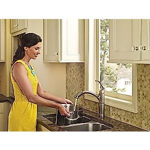 Moen 7295SRS Brantford One-Handle Pullout Kitchen Faucet Featuring Power Clean and Reflex, Spot Resist Stainless