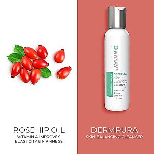 Solvaderm Dermpura Foaming Skin Balancing Cleanser Washes Away Impurities, Repairs Damage and Soothes Irritation with an Infusion Of Natural Botanicals