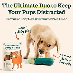 WOOF BullySafe and Bully Sticks - Nutritious Chew Sticks for Dogs and Bully Stick Holder for Safe, Long-Lasting Play -No More Swallowed Ends - 6" Sticks - 5 Pack