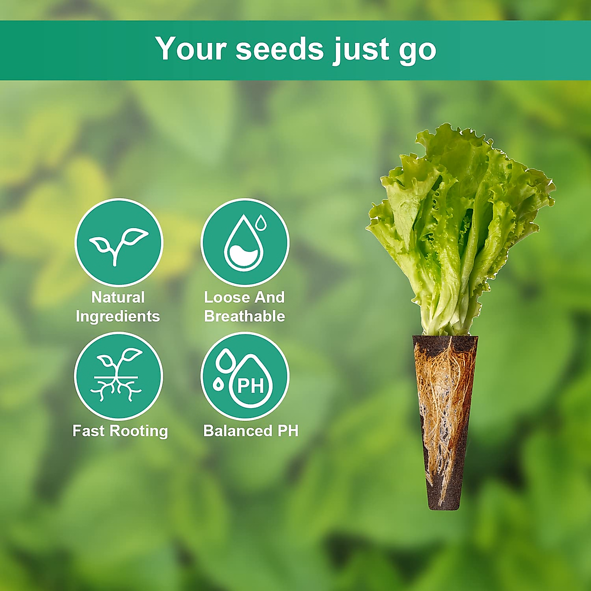 122pcs Seed Pod Kit, Hydroponics Garden Accessories for Aerogarden Growing System, Grow Anything Kit with 30 Grow Sponges, 30 Grow Baskets, 30 Grow Domes, 2 100ml Plant Food