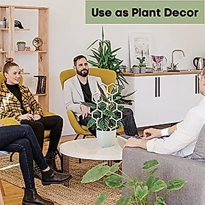 TAVALEAF 2 Pack Indoor Plant Trellis, Honeycomb Shaped Indoor Trellis for Climbing Plants, Small Plant Trellis for Plants, Small Trellis for House Plant, Trellis Small Climbing Plant Support (gt1)