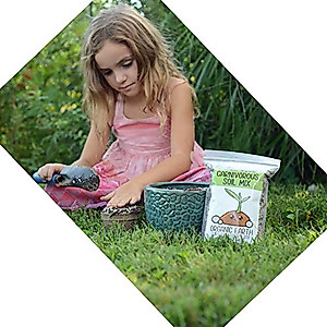 Organic Earth Carnivorous Plant Soil Mix 1 QT - Plant Food Peat Moss & Perlite for Carnivorous Plants - Terrarium Soil, Pitcher Plant Soil, Venus Fly Trap Soil