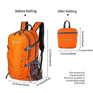Sharkborough Daypack Backpacks, Orange, 40 Long